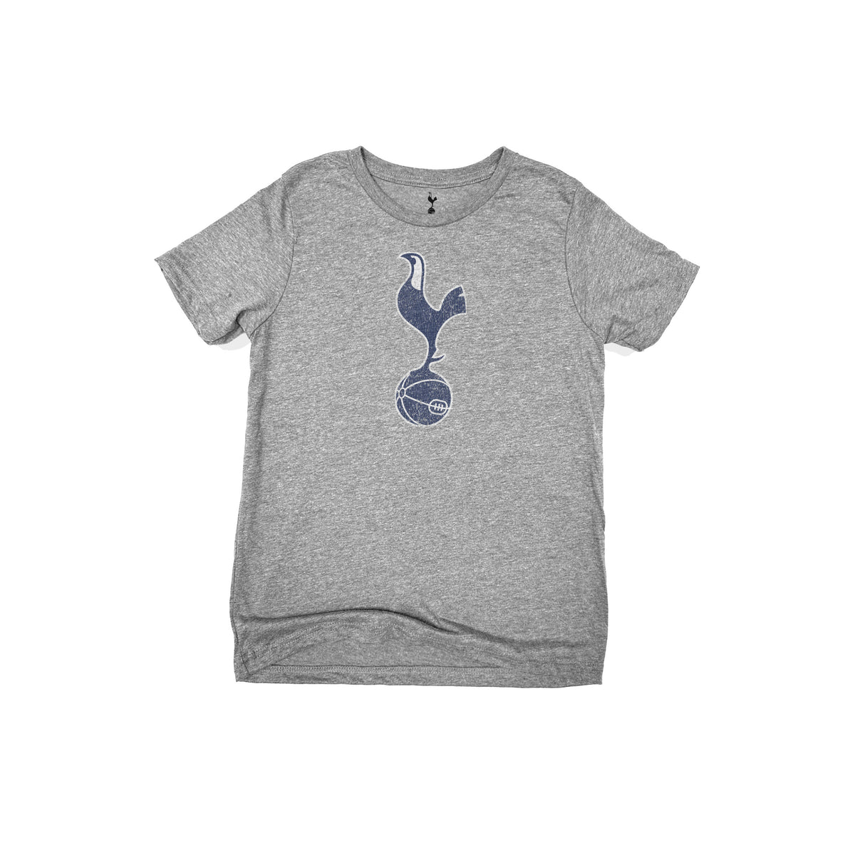 Tottenham Hotspur Youth Full Color Cotton T-Shirt - Grey – 1863 ...